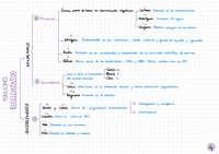 Funciones de los bioelementos. - Docsity