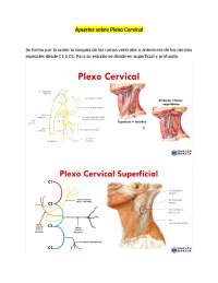 Notas sobre plexo cervical - Docsity