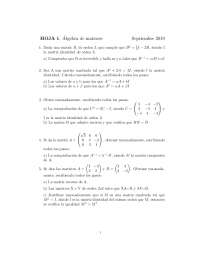 Ejercicios de matrices, matemáticas bachillerato - Docsity