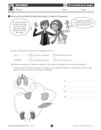 Refuerzo ciencias naturales 6 primaria - Docsity