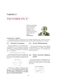 VECTORES EN EL PLANO EN R2 | Apuntes de Matemáticas | Docsity