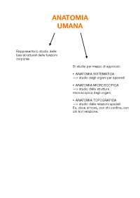 ANATOMIA INTRODUZIONE, POSIZIONE ANATOMICA, PIANI ANATOMICI E ...