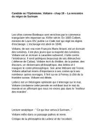 Candide ou l'Optimisme, Voltaire - chap 19 – La rencontre du nègre de Surinam - Docsity