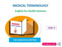 Anatomy - Digestive system Part II - Docsity
