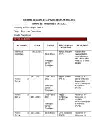 Formato de actividades - Docsity