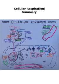 Cellular Respiration Summary Notes - Docsity