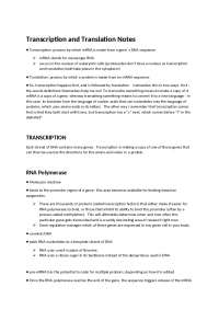 Transcription and Translation Notes (General Biology ) - Docsity