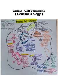 Animal Cell Structure ( General Biology ) Notes - Docsity