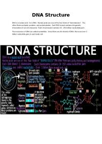 DNA Structure Notes - Docsity