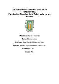 Sofistica y sus actividades - Docsity