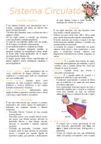 Resumo anatomia sistema circulatório | Resumos Anatomia | Docsity