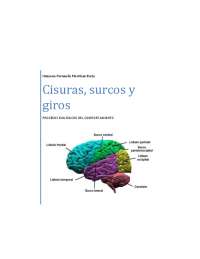 Cisuras, surcos y giros - Docsity