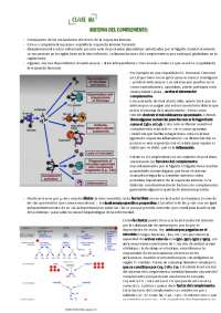 Sistema del complemento - Docsity