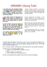 Analisi Grodek di Georg Trakl - Docsity