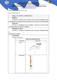 Biologia Comparada Taxonomica etc - Docsity