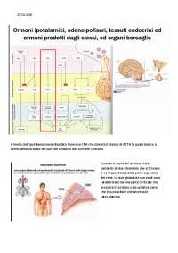 Ormoni della corticale e midollare del surrene - Docsity