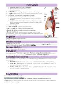 ANATOMIA DEL ESOFAGO (CONF. EX E INT.) - Docsity
