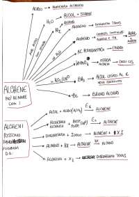 MECCANISMI DI REAZIONE DEGLI ALCHENI - Docsity