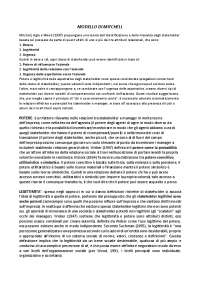 IL MODELLO DI MITCHELL - Docsity