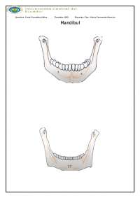 Maxilar inferior maxilar - Docsity