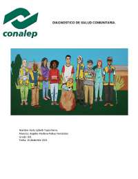 Diagnóstico de salud comunitario - Docsity