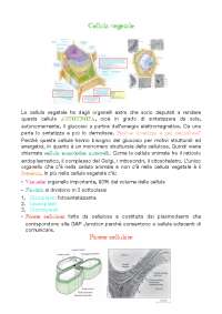 MAPPA CONCETTUALE CELLULA VEGETALE - Docsity