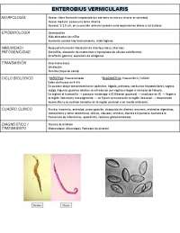 Enterobius Vermicularis - Docsity