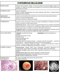 Cysticercus Cellulosae - Docsity