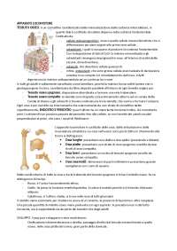 L'apparato locomotore - Docsity