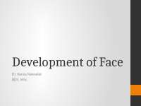 Development of face /Embryology/ Anatomy - Docsity