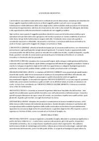 Archivistica Generale - Docsity