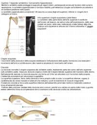 ANATOMIA UMANA APPARATO SCHELETRICO-APPENDICOLARE - Docsity