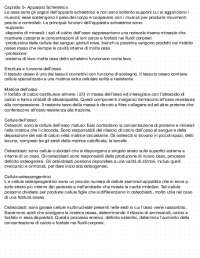 ANATOMIA UMANA-APPARATO SCHELETRICO-ASSILE - Docsity