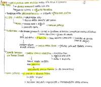 Schema Opere di Dante - Docsity