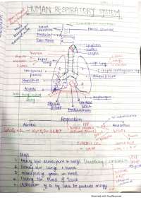 Biology - Human Respiratory System complete handwritten notes - Docsity