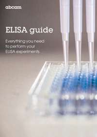 Protocolo do ELISA (passo-apasso) - Docsity