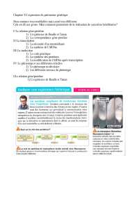 Transcription ADN SVT 1ère spécialité - Docsity