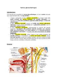 Nervo glossofaringeo - Origine e decorso - Docsity