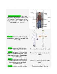 Complete Anatomical Position with definitions - Docsity