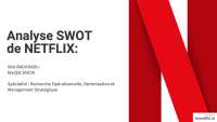 Analyse SWOT NETFLIX | Slides Economic Theory - Docsity