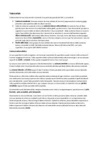 VESCICOLE PRIMARIE E SECONDARIE - Docsity