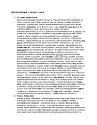 Anatomija Noge - kompletna skripta za ispit | Skripte' predlog ...