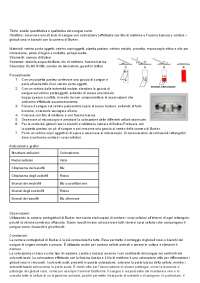 Composizione del sangue e camera di Burker - Docsity