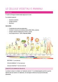 DIFFERENZE CELLULA ANIMALE E VEGETALE - Docsity
