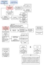 TIC nella didattica e nella didattica inclusiva | Schemi e mappe concettuali di TFA Sostegno ...