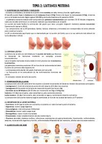 Tema 1 Alimentación en la lactancia - Docsity