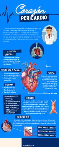 Estudio del pericardio y sus capas - Docsity