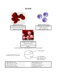 Composition of Blood Worksheet - Docsity
