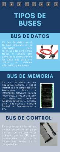 Infografia bus de datos - Docsity