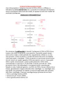 TECNICHE DI BIOLOGIA MOLECOLARE | Dispense di Biologia Molecolare | Docsity